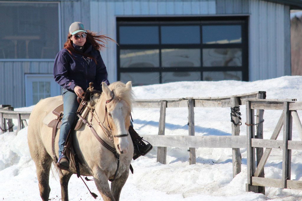 HORSE TRAINING – SB Barrel Racing